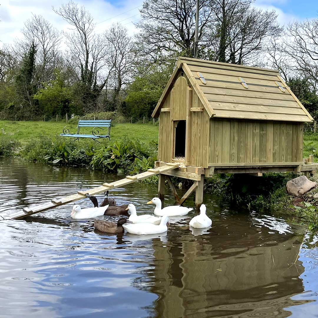 The Jetty Duck House – Granddad Rob Designs LTD