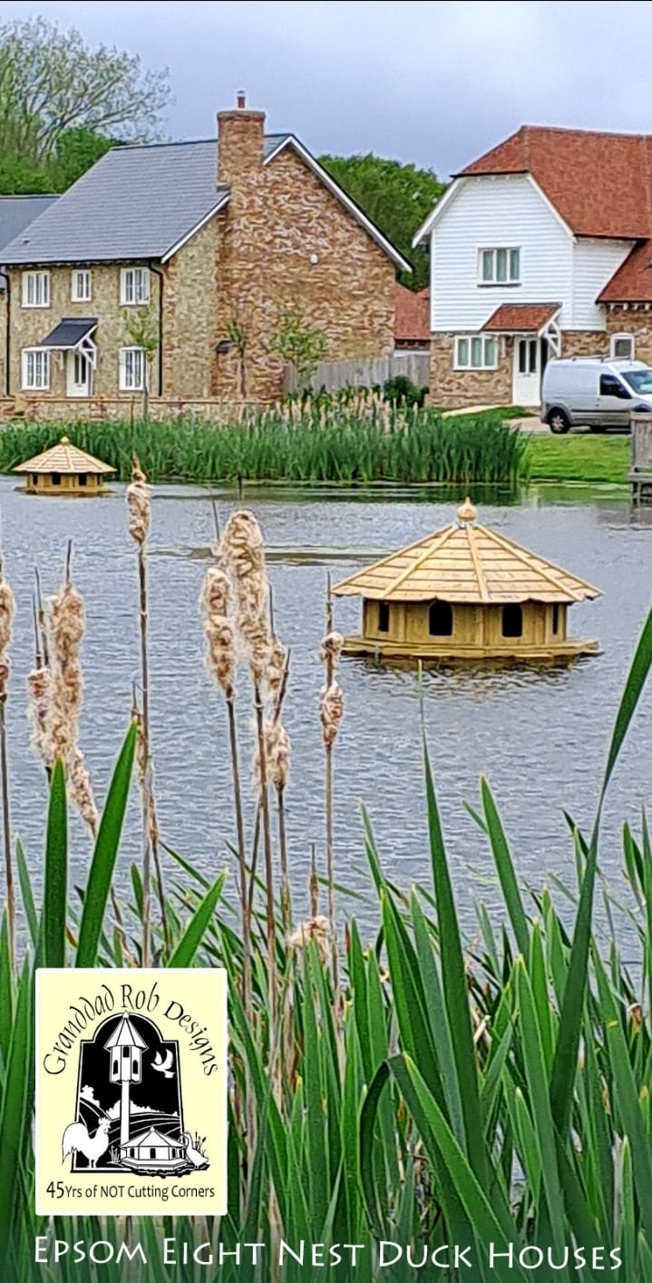 3 Nest Wall Mounted Natural Dovecote | Granddad Rob Designs – Granddad ...