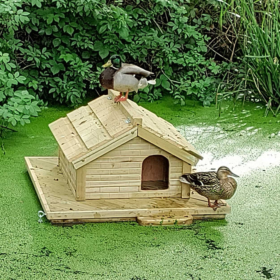 Floating Duck Nests | 40 Years experience | Granddad Rob Designs ...
